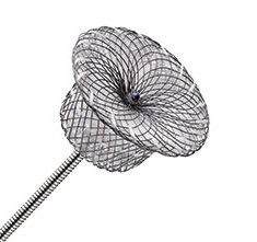 Abbott Structural Heart - Nugra Karsera