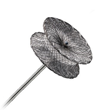 Abbott Structural Heart - Nugra Karsera